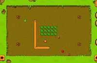 Snake - Spil gratis på GratisSpille.dk